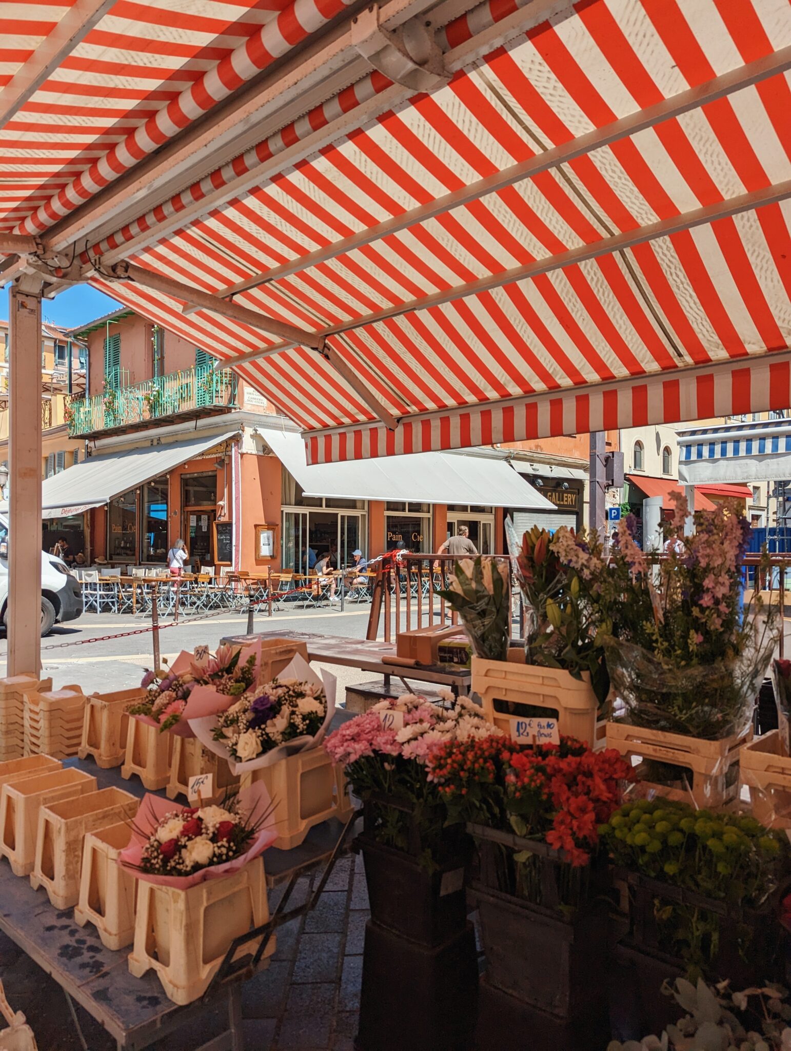 The Ultimate Guide to Exploring Nice with Your Children